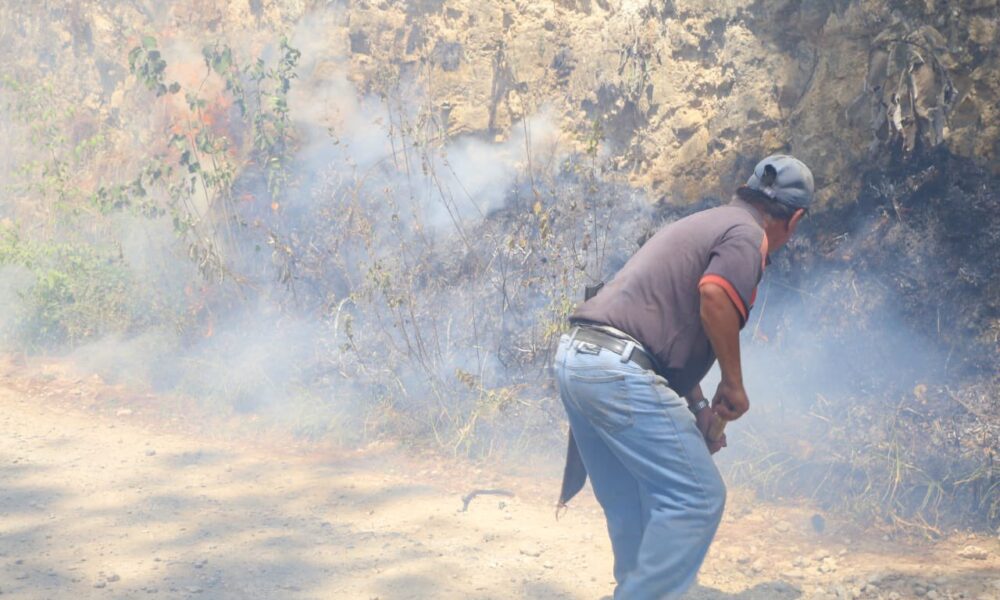 Extinguido incendio forestal en Zacatlán – Cinco Radio