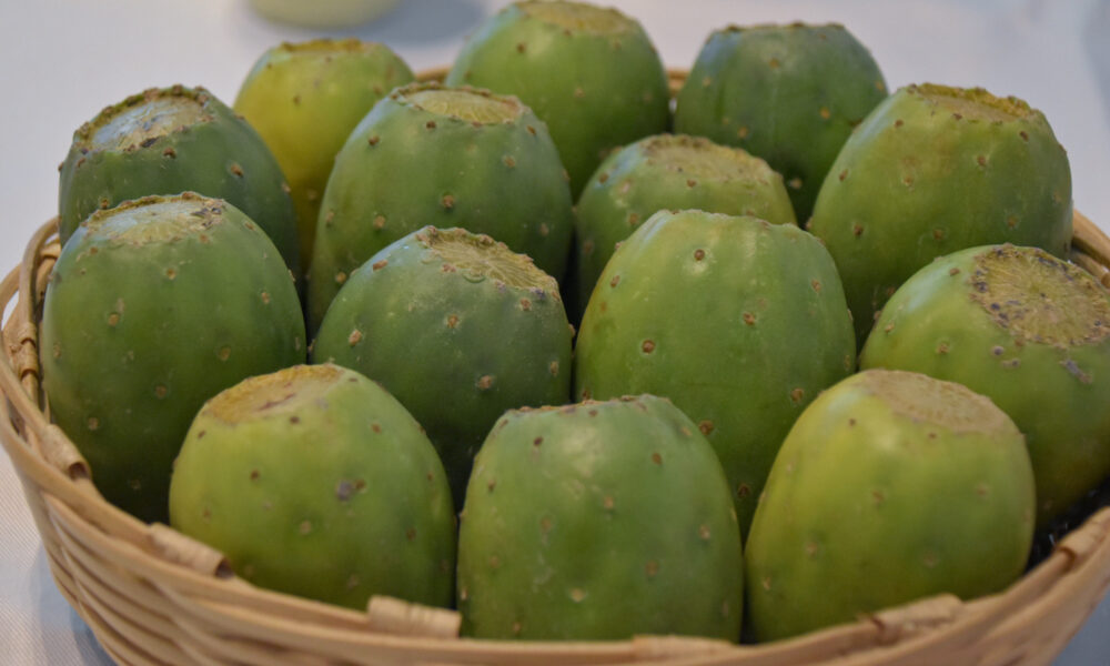 Anuncian Feria de Tuna y Nopal en Acatzingo - Cinco Radio