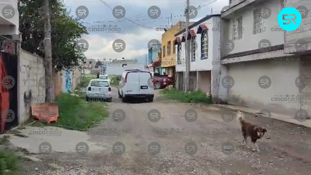 Con huellas de violencia, hallan cadáver de hombre en la colonia Jorge Murad – Cinco Radio