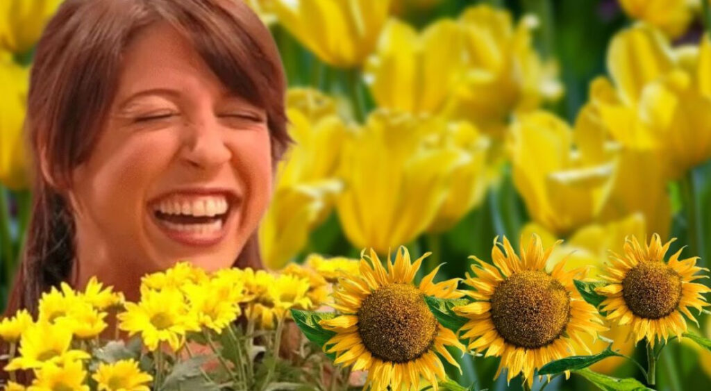 “Floricienta”, la serie que convirtió las flores amarillas en un ...